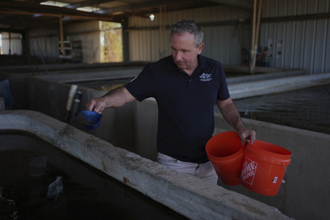 In the Arizona desert, a farm raising fish raises questions about water ...